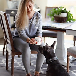 Petaxin Probiotics for Dogs - 6 Strains with Prebiotics - Supports Digestive and Immune System – Relief for Diarrhea, Bad Breath, Allergies, Gas, Constipation, Hot Spots - Made in USA - 120 Chews Peta