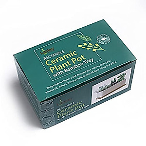 LANKER 6.5 Inch Rectangle White Ceramic Succulent Planter Pot Decorative Cactus Plant Pot Flower Container with Bamboo Tray (Rectangle 6.5 Inch)