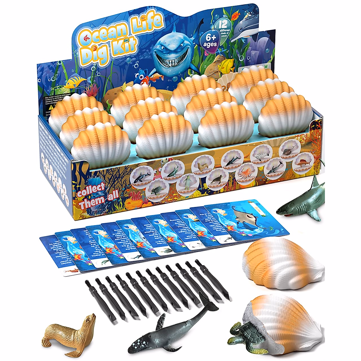 EARTH'SCODE Ocean Animals Dig Kit, Seashell Excavation Dig Bricks, Science Educational Gift for Kids