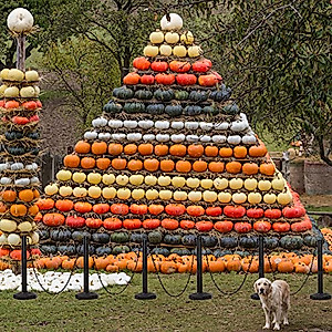 HABUTWAY 6Pcs Traffic Delineator Post Cone with 5.5FT Chain, Chain Safety Barriers Outdoor and Indoor Crowd Control Barricade (Black)