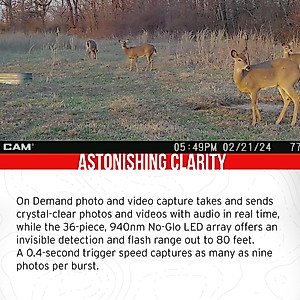 Stealth Cam 40MP Deceptor Max Cellular Trail Camera with 0.4-Second Trigger Speed (2-Pack) Bundle with 32GB Memory Card (2-Pack) and 4-in-1 Card Reader (4 Items)