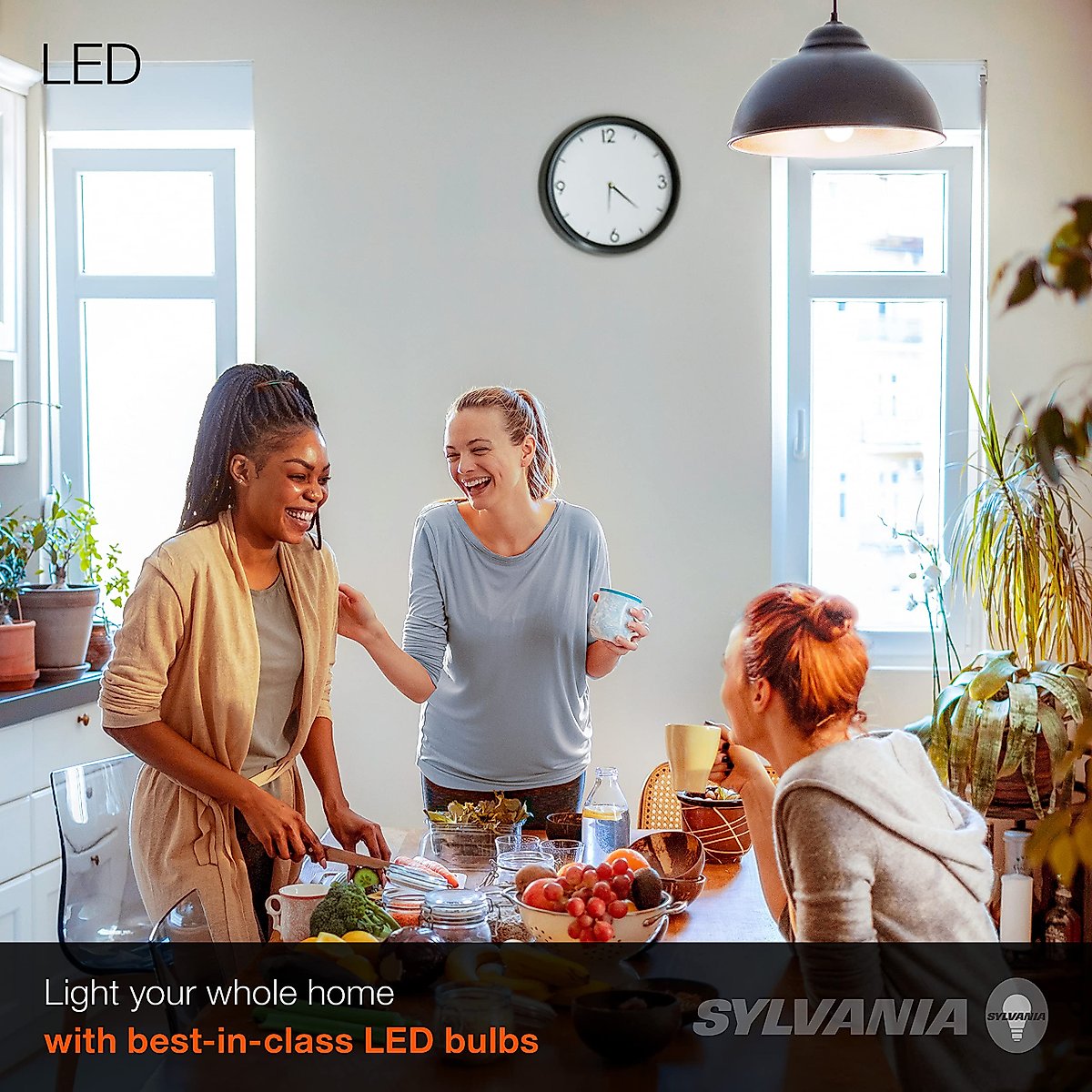 SYLVANIA LED Light Bulb, 40W Equivalent A19, Efficient 6W, Medium Base, Frosted Finish, 450 Lumens, Daylight ,2 Count (Pack of 1)