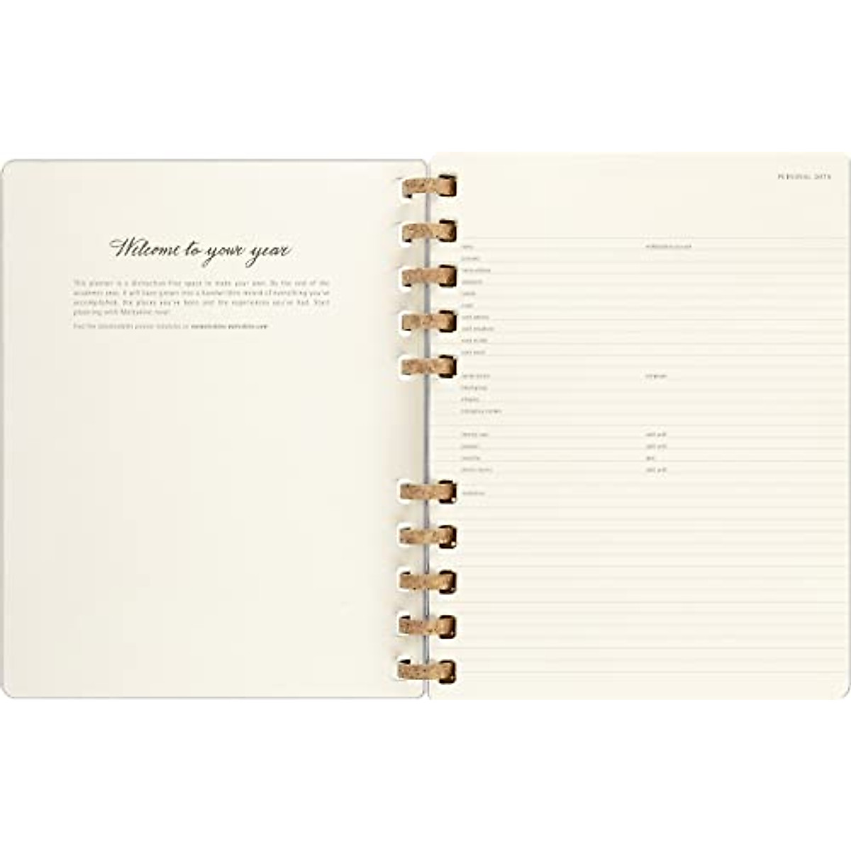 Moleskine Spiral 12 Month 2023 Solar Year Planner, Hard Cover, XXL (8.25" X 11.75"), Smoke