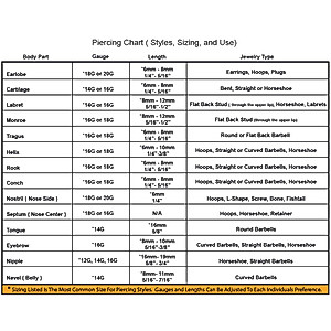 PunkTracker 16g/18g Surgical Steel Internal Thread CZ Stud Piercing Jewelry for Tragus/Nose/Helix/Conch/Medusa/Lip/Labret - Helix Tragus Cartilage Earring for Women Men 2PCS