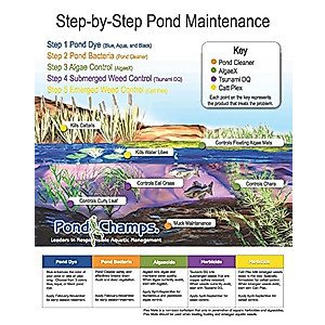 Pond Champs Blue Lake and Pond Dye - One Gallon of Professional Lake & Pond Dye - Treats Up to 1 Acre - Royal Blue Color - Safe for Fish, Wildlife, Pets & Children