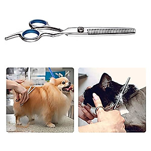 Pogeair 6 in 1 Safety Round Head 4CR Stainless Steel Dog Grooming Scissors Kit, Heavy Duty Titanium Coated Pet Grooming Scissors for Dogs, Cats & Other Pets