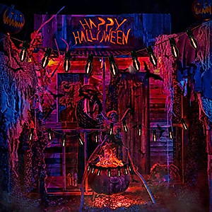 C7 Halloween String Lights - 25ft C7 Lights with 25 LED Transparent Black Purple Bulb(Plus 2 Extra Bulbs), Halloween Lighting Decor for Outdoor Use, Garden, Yard, Home, Party, Holiday, Black Wire