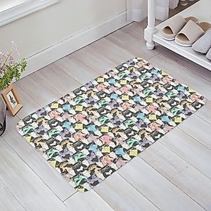 Front Door Mat Floor Mats for Home Decor, Humor Cat Memory Foam Runner Entryway Area Rug Non-Slip Absorbent Doormat Washable Rug, 18x30Inch Welcome Mats Carpet for Bedroom Decor Living Room Decor