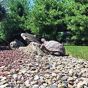 Sunnydaze Tanya The Tortoise Large Garden Statue - 20-Inch Long - Indoor/Outdoor Decoration for Yard, Patio, Pond, or Lawn