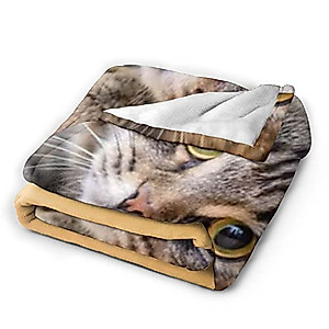 Gifts for Cat Lovers, Custom Cat Print Themed Blanket Personalized Photo Blanket for Pets, Cat Lovers Gift Ideas Soft Throw Blankets for Women Girls Christmas Birthday Gifts with Cute Cats 30x40 Inch