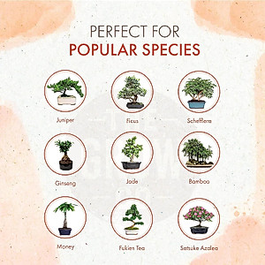 Bonsai Plant Food - Organic Liquid Fertilizer - Gentle Formula for Long Term Health - Excellent for All Live Indoor and Outdoor Bonsai Tree Plants in Pots (8 oz)