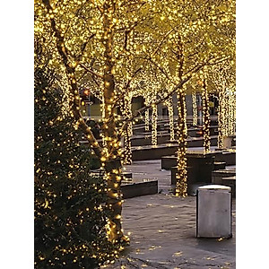 Twinkle Star 50 LED Battery Operated Christmas Lights 16 ft Mini String Lights, Waterproof Tree Lights with 8 Lighting Modes, Indoor Outdoor Patio Garden Party Wedding Christmas Decoration, Warm White