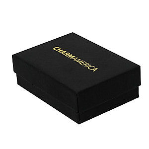 Charm America - Gold Petite Compass Charm - 10 Karat Solid Gold