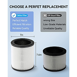 Air Purifier Filter for Tailulu 160 Air Purifier, 3-in-1 True H13 HEPA Filter, 1 Pack