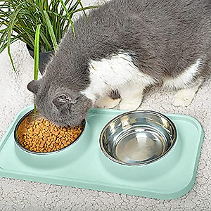 L.D.Dog Cat Food Bowls, Cat Bowls Non-Skid and Non-Spill Silicone Pads with PP Stand, Removable Stainless Steel Food and Water Dishes for Cats, Small Size Dogs