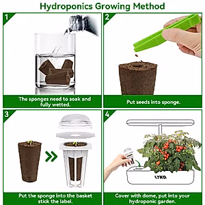 LYKO Basil Cilantro Dill Mint Seed Starter Kit for Hydroponics Growing System, Vegetable Pod Kits for Planting Indoor Garden 500+ Seeds (Basil, Parsley, Oregano, Thyme, Mint, Cilantro & Dill) 7 Pods