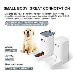 Pet Lavu Pet Food Feeder and Water Dispenser for Dogs and Cats,Automatic Gravity Dog Food and Water Dispenser,Auto Feeder Self Feeding for Dog Cat Pets Puppy