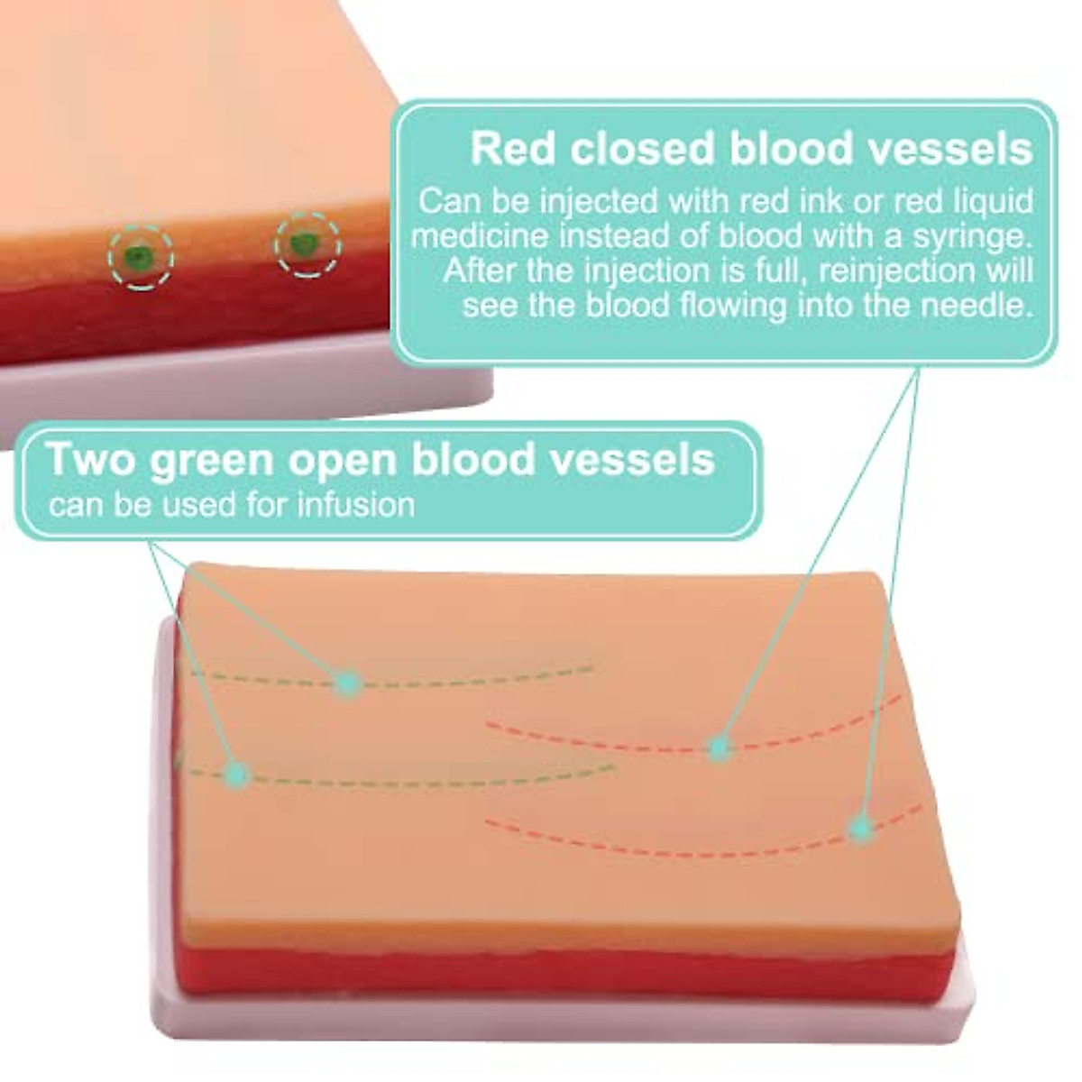 Venipuncture Practice kit Phlebotomy IV Insertion, Blood Draw, Injection, Venipuncture Techniques for Students to Practice Perfect IV，Medical Educational Teaching Model Not Included Practice Needles