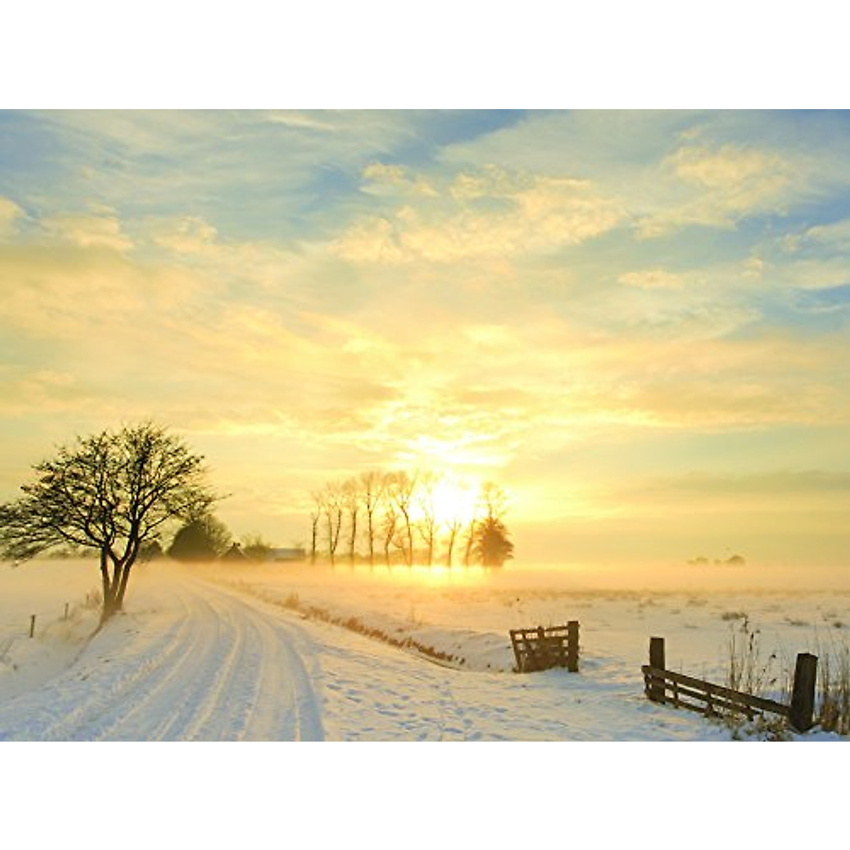 Note Card Cafe Christmas Card Assortment with White Envelopes | 36 Pack | Turning of the Seasons | Blank Inside, Glossy Finish | Set for Holidays, Winter, Gifts, Presents, Secret Santa, Work Parties