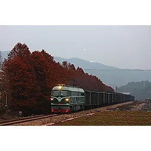 Jurassic Dawn Redwood | Tree Seed Grow Kit | The Jonsteen Company