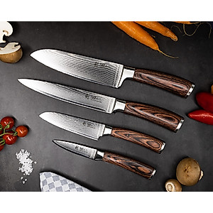 Wakoli EDIB 4-pcs Damascus Knife Set I Professional Kitchen Knives made of Japanese Damascus Steel VG10 Chef Knife Set with Pakka Wood Handle in Gift Box
