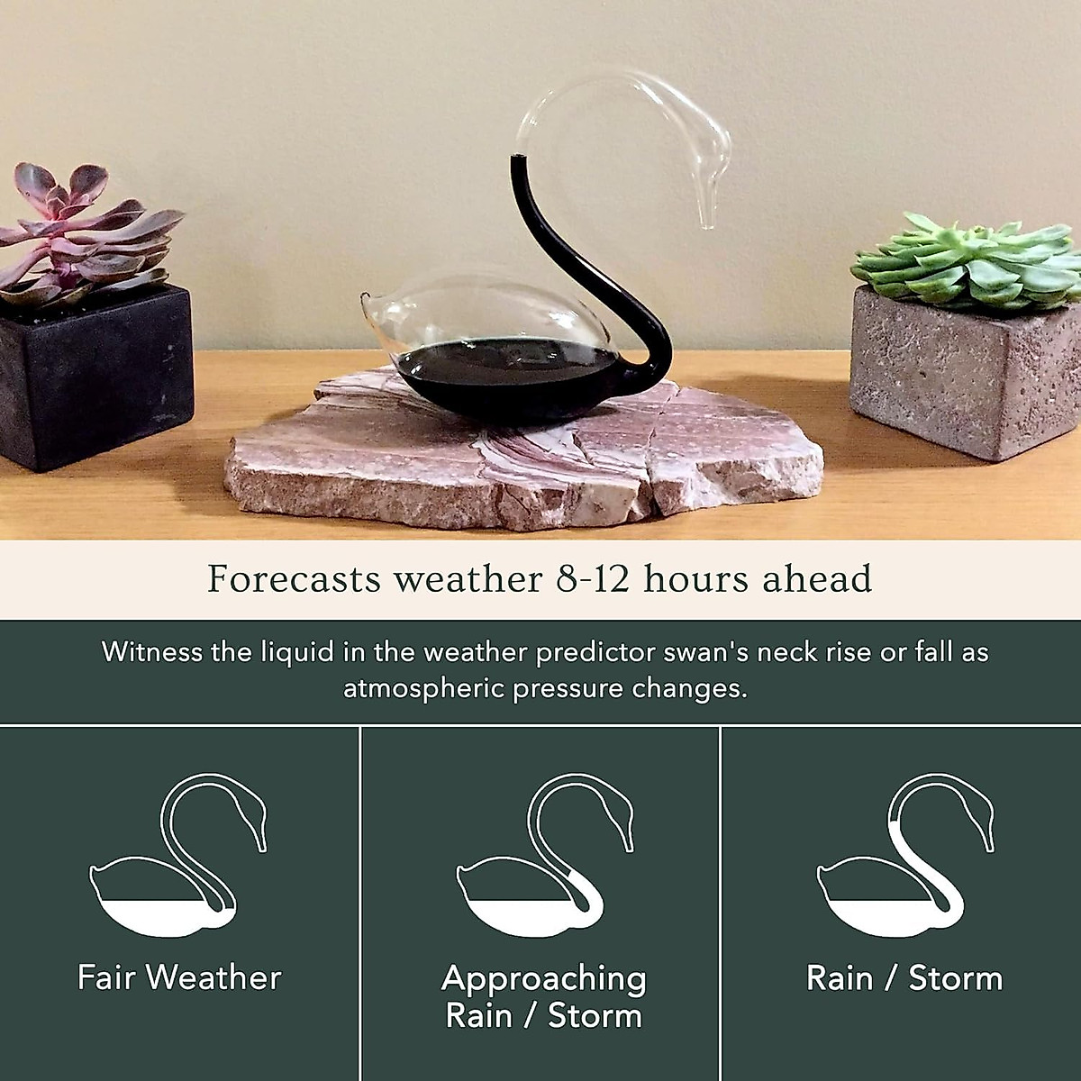 Blackswan Storm Glass Weather Predictor Crystal Swan Figurine | Unique Barometer Personal Weather Station for Office Home Decor for Men, Women, Kids, Adults | Liquid Pressure Meteorology Tools