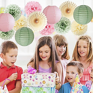 Sage Green and Pink Party Decoration Sage Pink Cream Tissue Paper Pom Poms Hanging Paper Lanterns Sage Green Party Decorations for Wedding Engagement Baby Shower Bridal Shower Girl Birthday