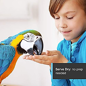 Hari Hagen Tropican High Performance Parrot Food, 3.3 ib Parrot Sticks with Peanuts & Sunflower Seeds and Higher Nutrition Levels