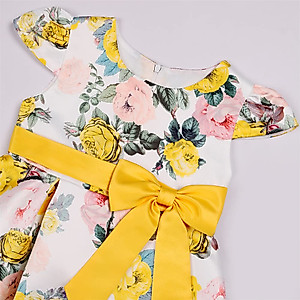 AIMJCHLD Party Dress for Toddler Little Baby Girls Flower Wedding Dresses Pageant Prom Ball Gowns Fancy Performance Formal Dress Size 2T 3T Yellow 100
