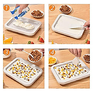 Plate with 2 s Homemade Rolled Ice, Sorbet Maker, Homemade Ice (Pink)