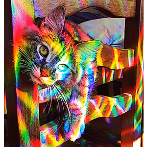 Rainbow Symphony- Rainbow Prism Suncatcher for Window, Axicon Pattern, with Bonus Board Sun Catcher, Made in USA