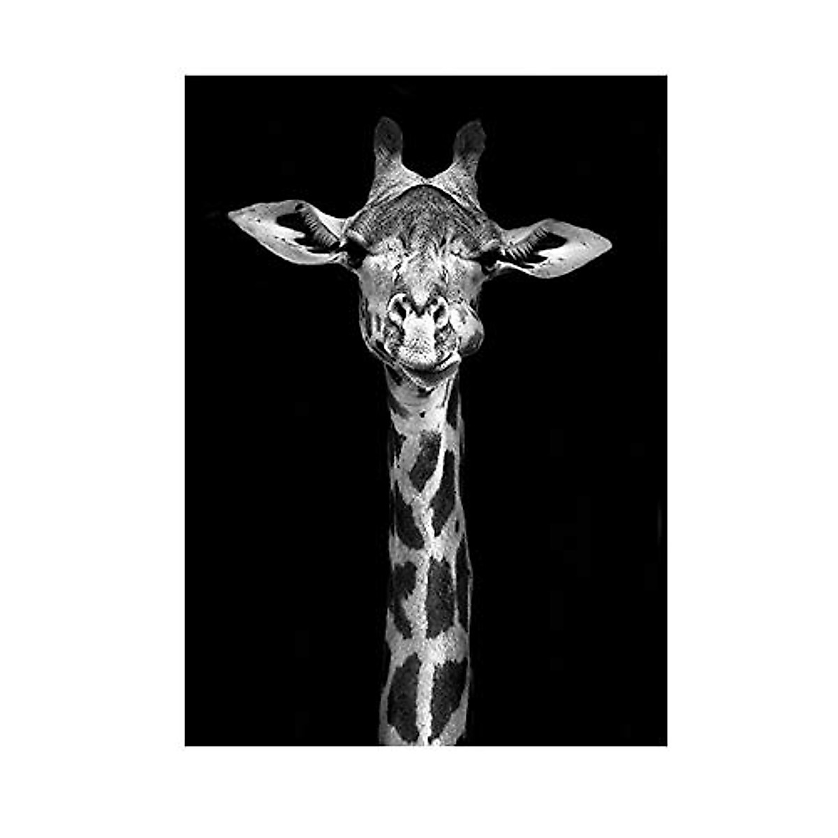 Black and White Animal Painting the Lion & Giraffe & Cheetah Cafe home, office, decoration painting ,wall painting Wall Art Pictures Wall Decor Wall Art Poster Set of 3（11.8"X15.75"）【No Frame】