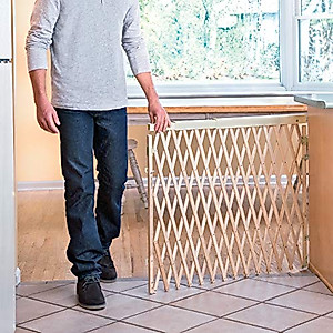 Evenflo Expansion Walk Thru Room Divider Gate