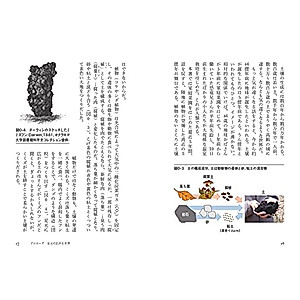 ヤマケイ文庫 大地の五億年 せめぎあう土と生き物たち