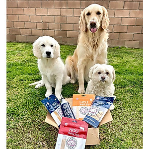 HOLI Beef Liver Dog Food Topper - Single Ingredient, Human-Grade - Freeze Dried Protein and Flavor Enhancer for Picky Dogs – Grain Free – 100% All Natural - 8oz