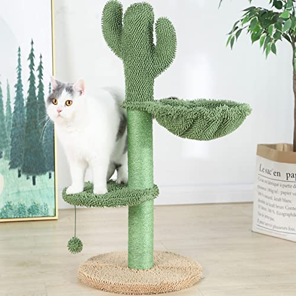 BOLUO Cat Scratching Post with Hammock for Indoor Cats Scratcher Posts Tall Cute Catcus Cat Tree Toy Kitten Sisal Rope Scratch Dangling Ball 31 Inch