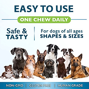 Nutrition Strength Dog Incontinence Support, Extra Strength Supplement for Dog Bladder Health, Organic Support for Dogs Leaking Urine, Promotes Dog Bladder Control, 30 Soft Chews