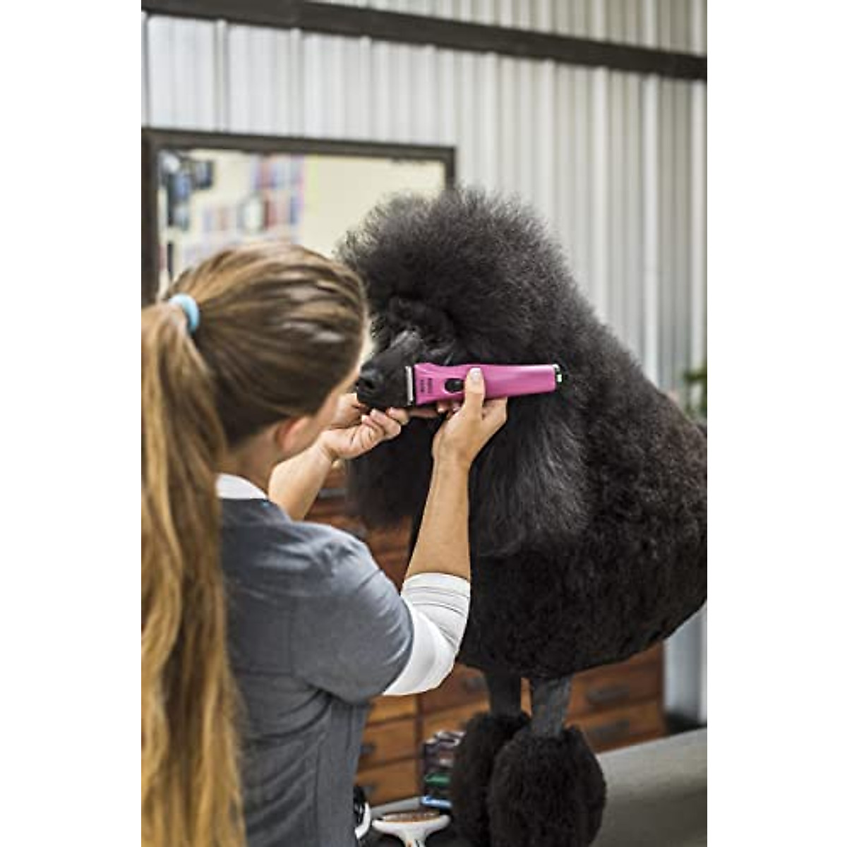 WAHL Professional Animal Creativa Cordless Dog, Cat, Pet, and Horse Clipper with 5-in-1 Adjustable Blade, Berry (#41876-0431)