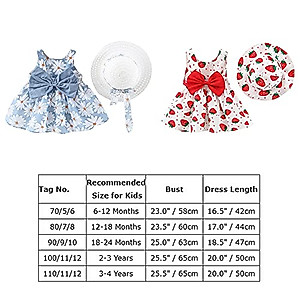 Baby Girls Floral Tutu Dress Summer Sleeveless Backless Princess Birthday Party Dresses Toddler Little Girl First Communion Pageant Flower Ruffle Bow Sundress with Sun Hat Outfit Set Blue 12-18 Months