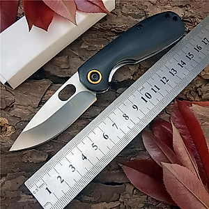 DOOM BLADE Gifts for Men Pocket Knife, Folding Knives with Pocket Clip 2.63 inches Blade Length 440C Stainless Steel Blade with Wood Handle,Lightweight,For Outdoor, Hunting, Fishing,Camping (Blue)