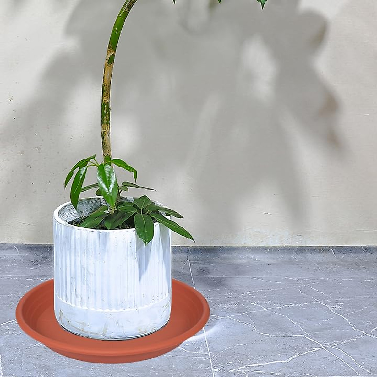 SAUCERHOME 5 Packs Plant Saucer Pot Tray 6 8 10 12 14 16 19 20 Inch Plastic Flower Planter Saucers and Drip Trays for Indoors Outdoors, Heavy Durable Plant Plate Water Catcher (6 Inch Terracotta)