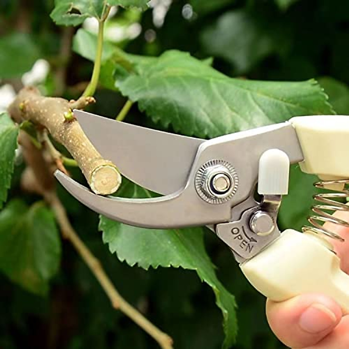 MEPEREZ Pruners, pruning shears heavy duty, premium garden scissors for hedge, bonsai, floral, small stem, orchard and vegetable pick, upgraded, gardening tools anvil snips, plant clippers 2 pack