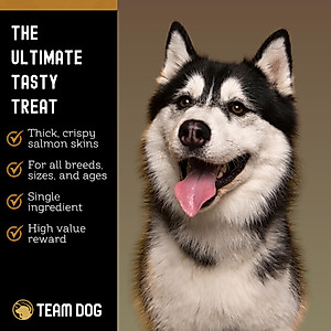 Team Dog Wild Alaskan Salmon Skin Treats for Dogs | Gluten Free, Grain Free Single Ingredient Dog Treat | Freeze Dried Dog Treats Rich in Omega 3 | Promotes Healthy Skin & Coat | 4 Dog Chews per Bag