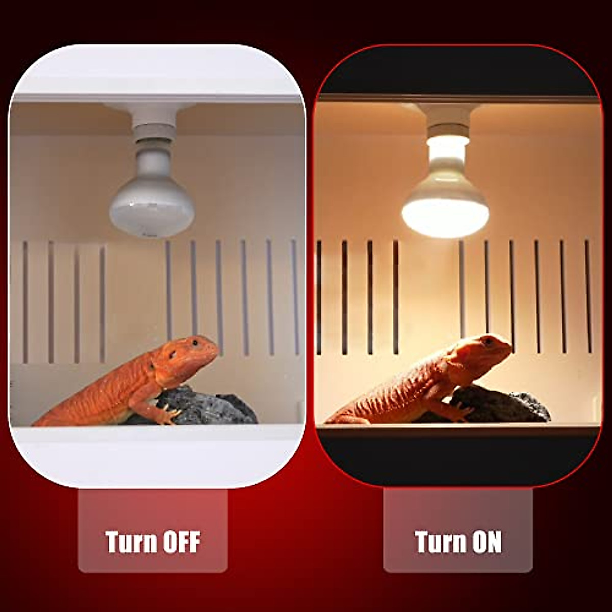 Makmzoon 2Pack Reptile Heat Lamp Bulb,75W UVA Basking Spot Lamp of Bearded Dragon,Heat Bulbs for Reptiles,Reptile Basking Spot Bulb,Sun Heat Bulb for Bearded Dragon Turtle Tortoise