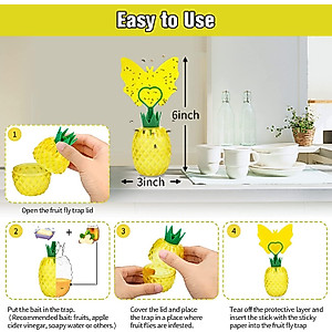 Fruit Fly Trap with Sticker, Effective Gnat Traps for House Indoor, Non-Toxic Reusable Fruit Fly Gnat Killer Fly Catcher, Comes with Attractant