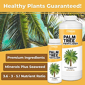 Palm Tree Fertilizer for All Palms and Ferns, Liquid Plant Food 8 oz (250mL)