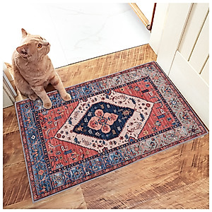 Hrzeem Indoor Door Mat Retro Indoor Floor Mat, Non Slip Front Door Mat Soft Quick Absorbent Entrance Doormats, Dust Dirt Resist Door Mats Indoor for Entrance - 20 x 31.5in