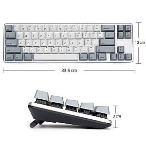 Qisan Holiday Sale 10% Discount off Mechanical Keyboard Gaming Keyboard Kailh Blue Switch Wired Backlit PBT Keycaps Mini Design (60%) 68 Keys Keyboard Magicforce (White Gray Combo)