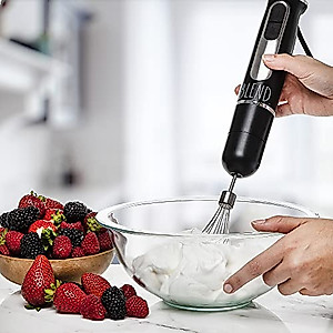 Rae Dunn Immersion Hand Blender- Handheld Immersion Blender with Egg Whisk and Milk Frother Attachments, 2 Speed Blender, 500 Watts, Stainless Steel Blade (Black)