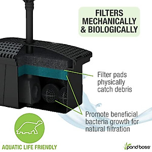 POND BOSS Filter Kit with Pump , 1 pack